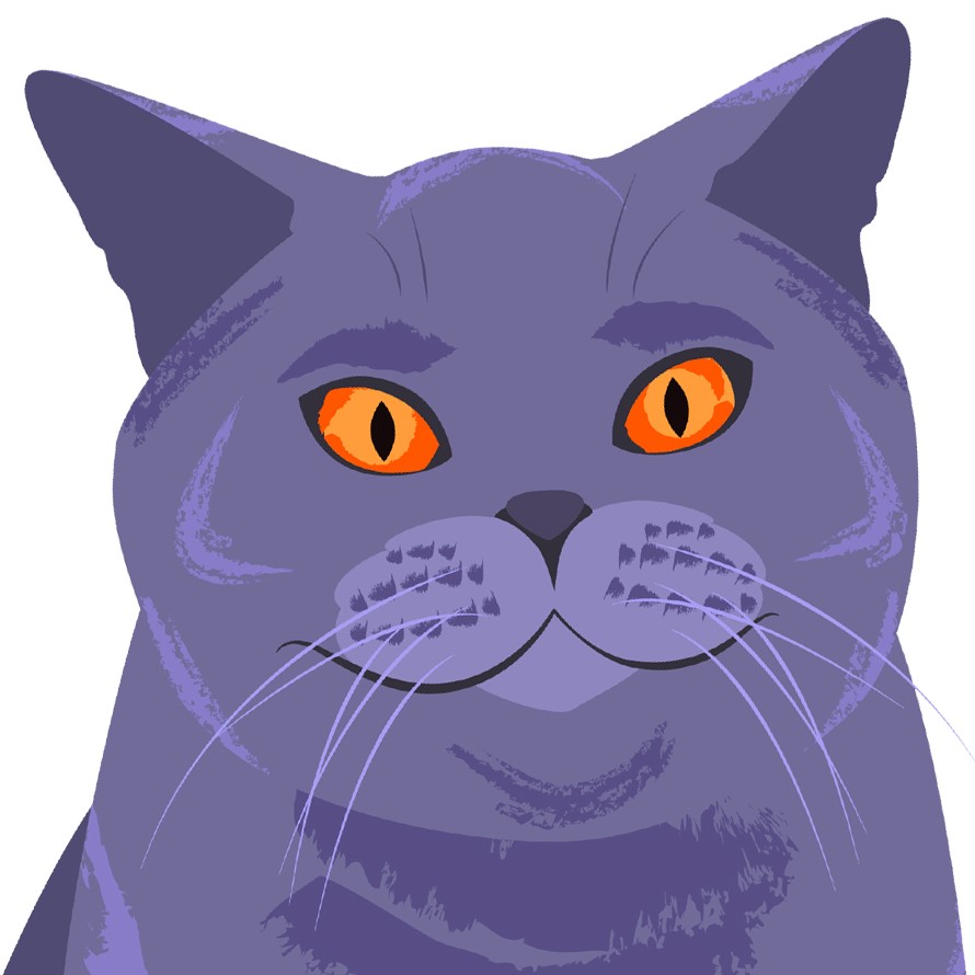 MISTER PUSHKIN - MISTER PUSHKIN